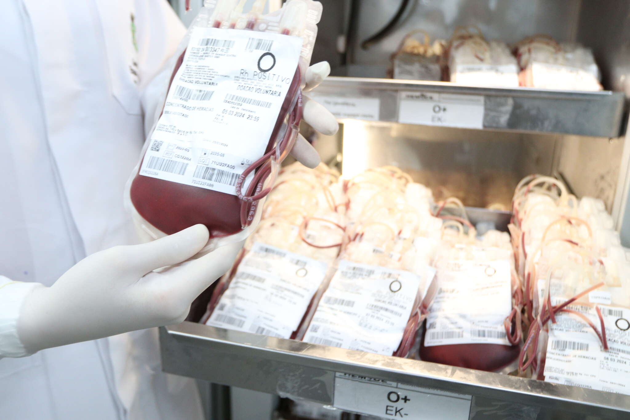 Hemoce - Centro de Hematologia e Hemoterapia do Ceara